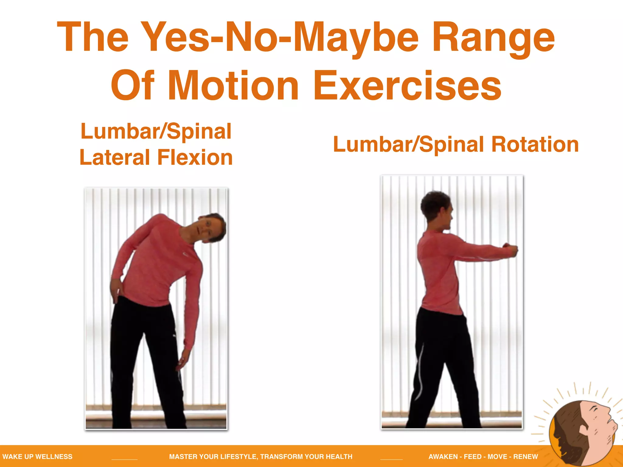 Spinal Hygiene Exercises | PDF