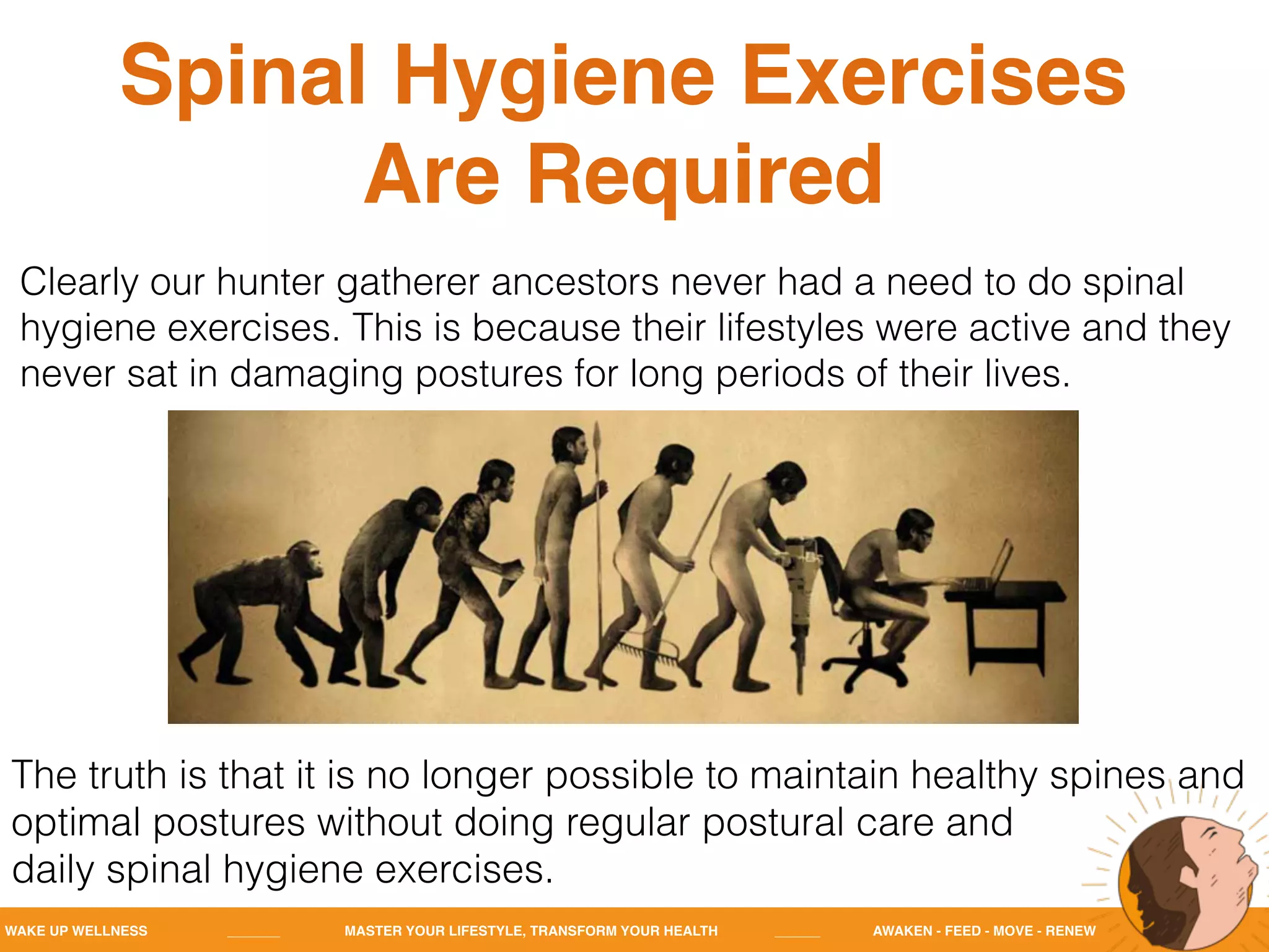 Spinal Hygiene Exercises | PDF