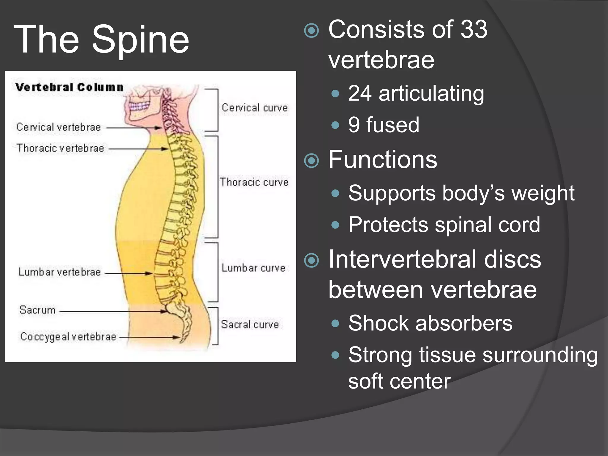 Spinal implants composed of biodegradable metals | PPTX