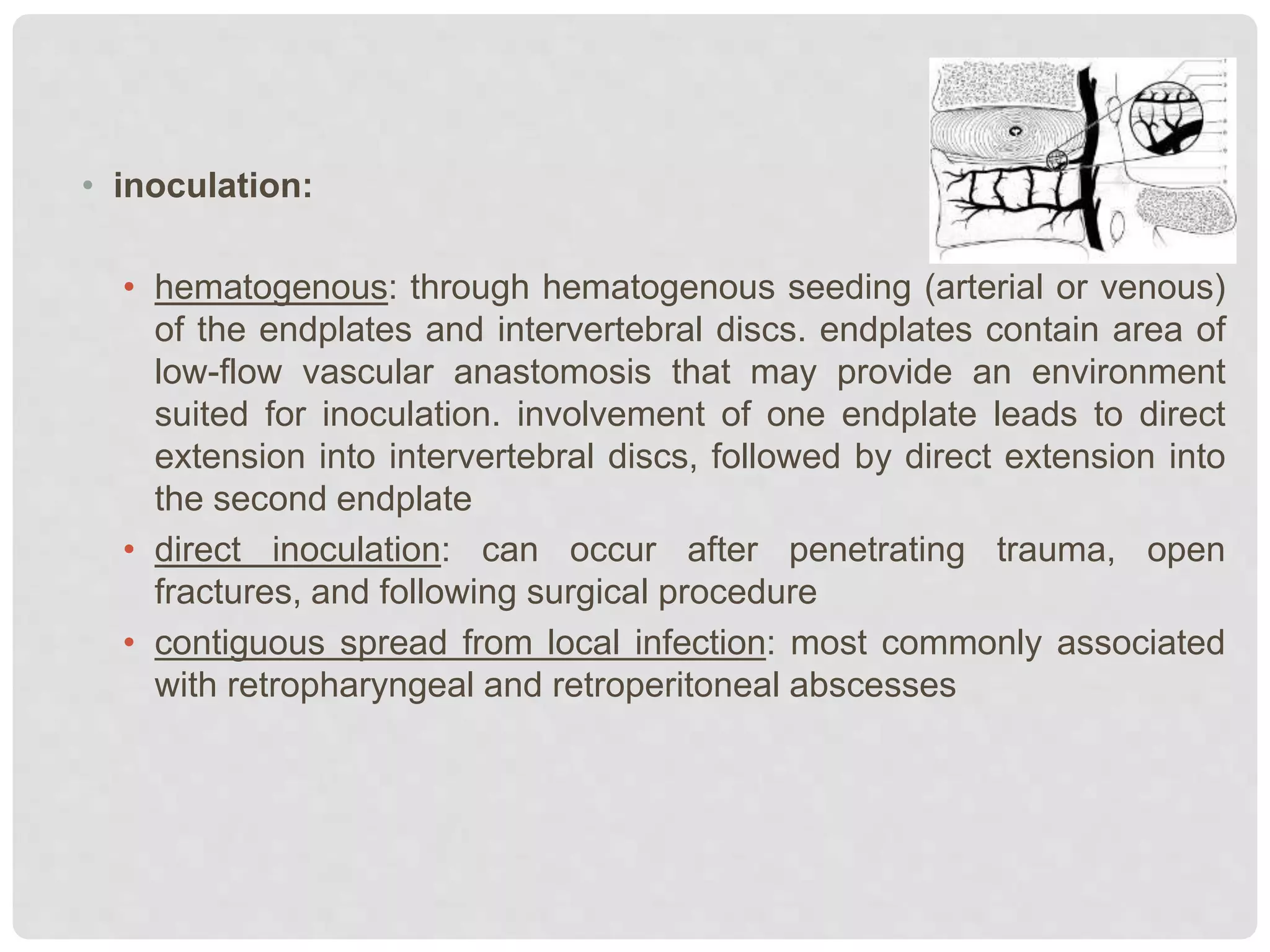 Spinal infection | PPTX