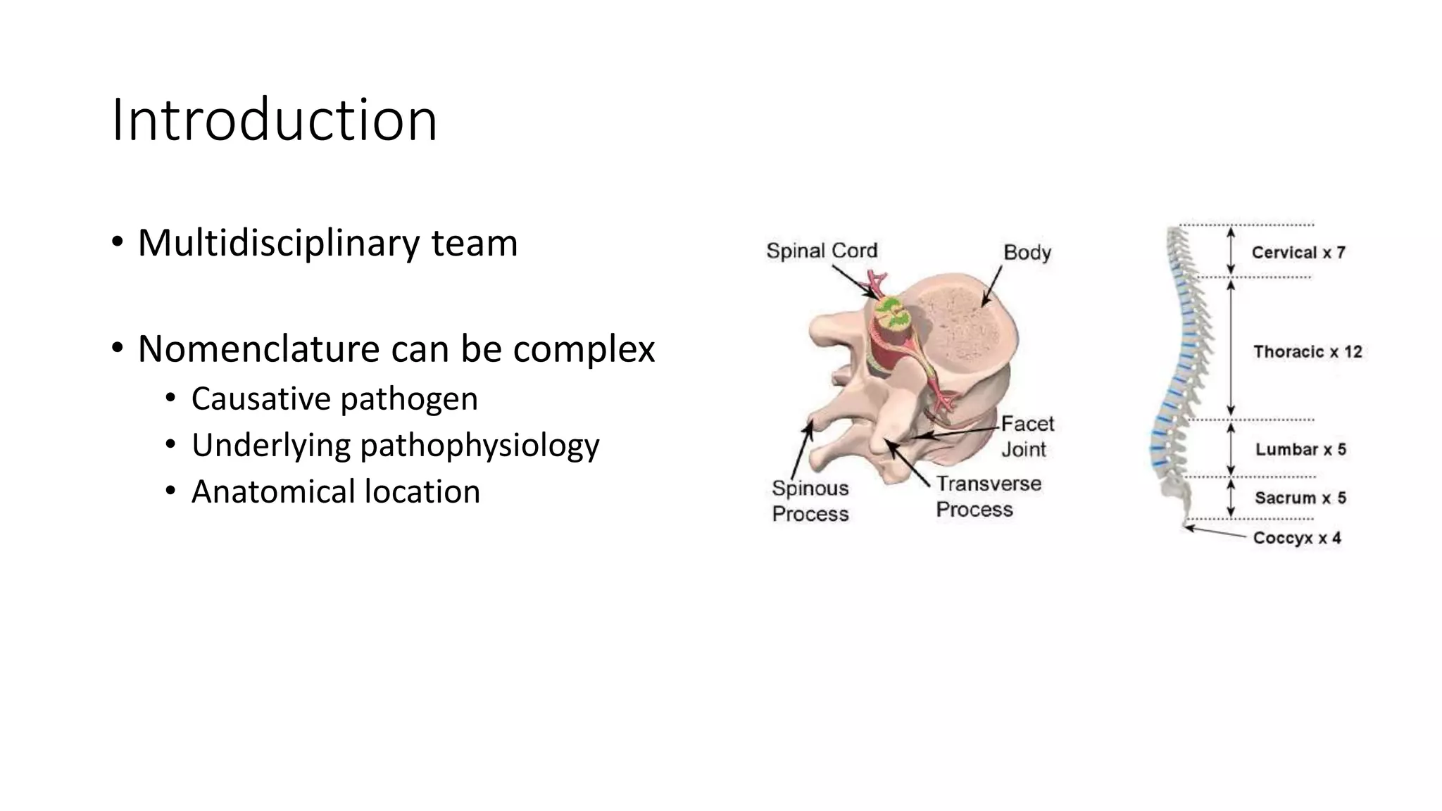Spinal infections | PPTX