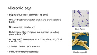 Spinal infections | PPTX