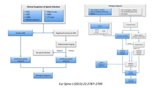 Spinal infections | PPTX