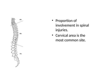 Spinal Injuries-a guide into the key concepts of spinal injuries | PPTX