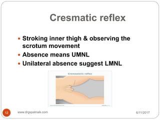 Spinal injuries | PPT