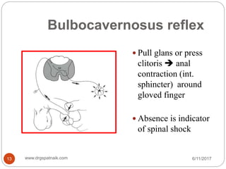 Spinal injuries | PPT