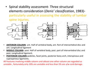 Spinal injuries | PPTX
