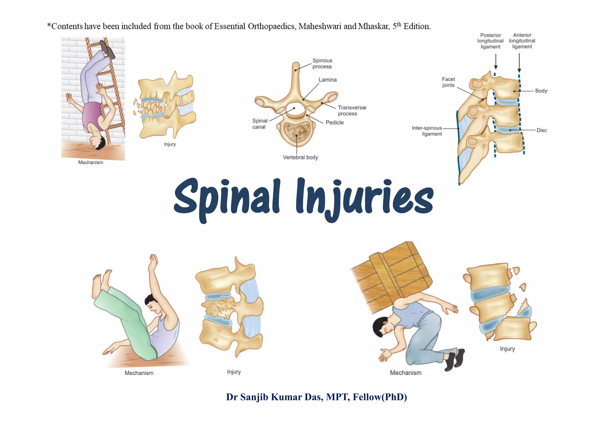 Spinal injuries (compiled by Dr Sanjib Kumar Das) | PDF