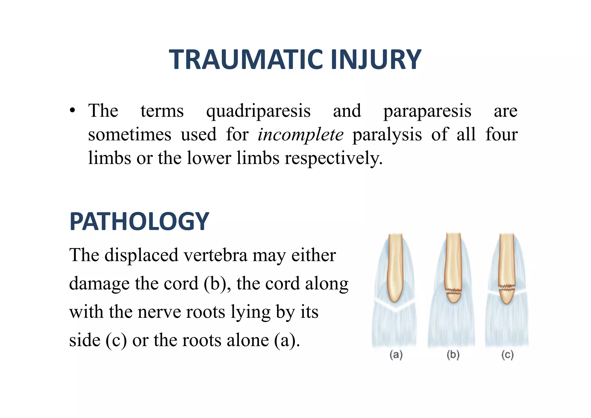 Spinal injuries (compiled by Dr Sanjib Kumar Das) | PDF