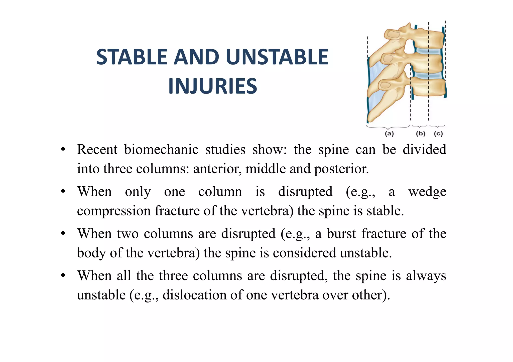 Spinal injuries (compiled by Dr Sanjib Kumar Das) | PDF