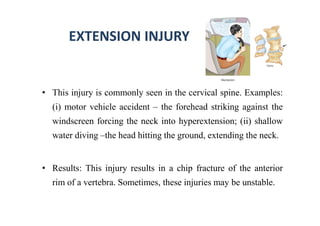 Spinal injuries (compiled by Dr Sanjib Kumar Das) | PDF