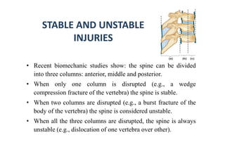 Spinal injuries (compiled by Dr Sanjib Kumar Das) | PDF