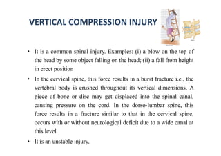 Spinal injuries (compiled by Dr Sanjib Kumar Das) | PDF