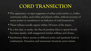 SPINAL INJURIES. Thoracolumbar and Cervical | PPTX