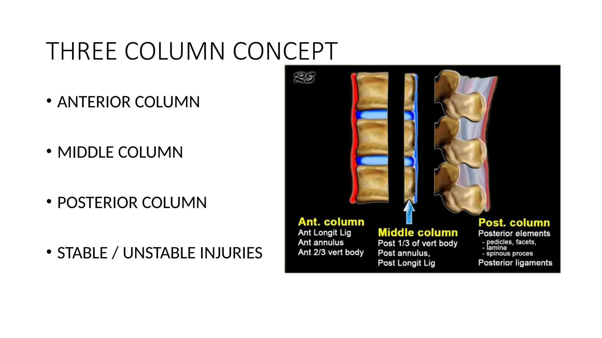 SPINAL INJURIES Anatomy three column concept log rolling investigation ...