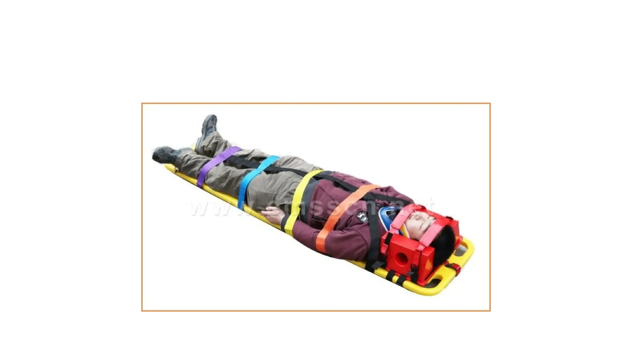SPINAL INJURIES Anatomy three column concept log rolling investigation ...