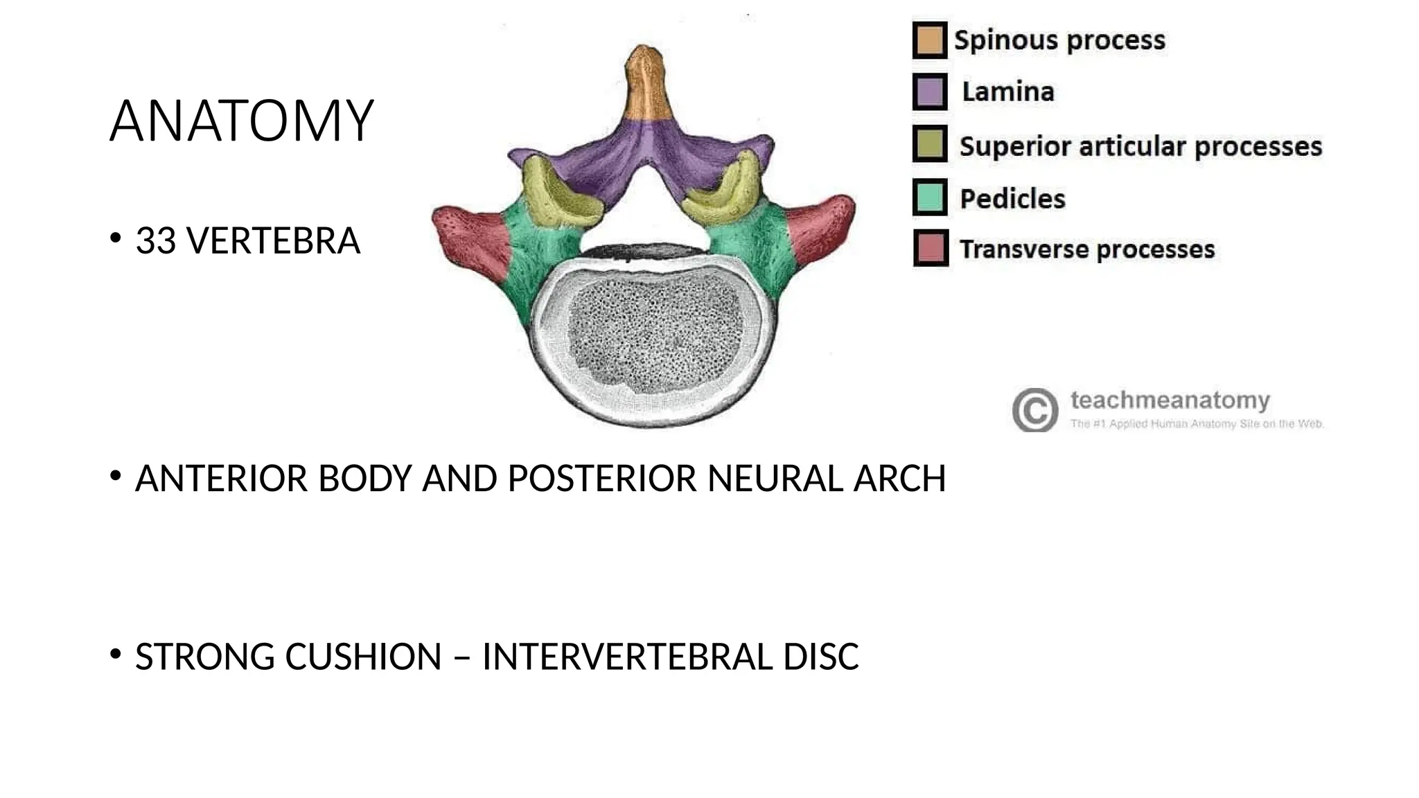 SPINAL INJURIES Anatomy three column concept log rolling investigation ...