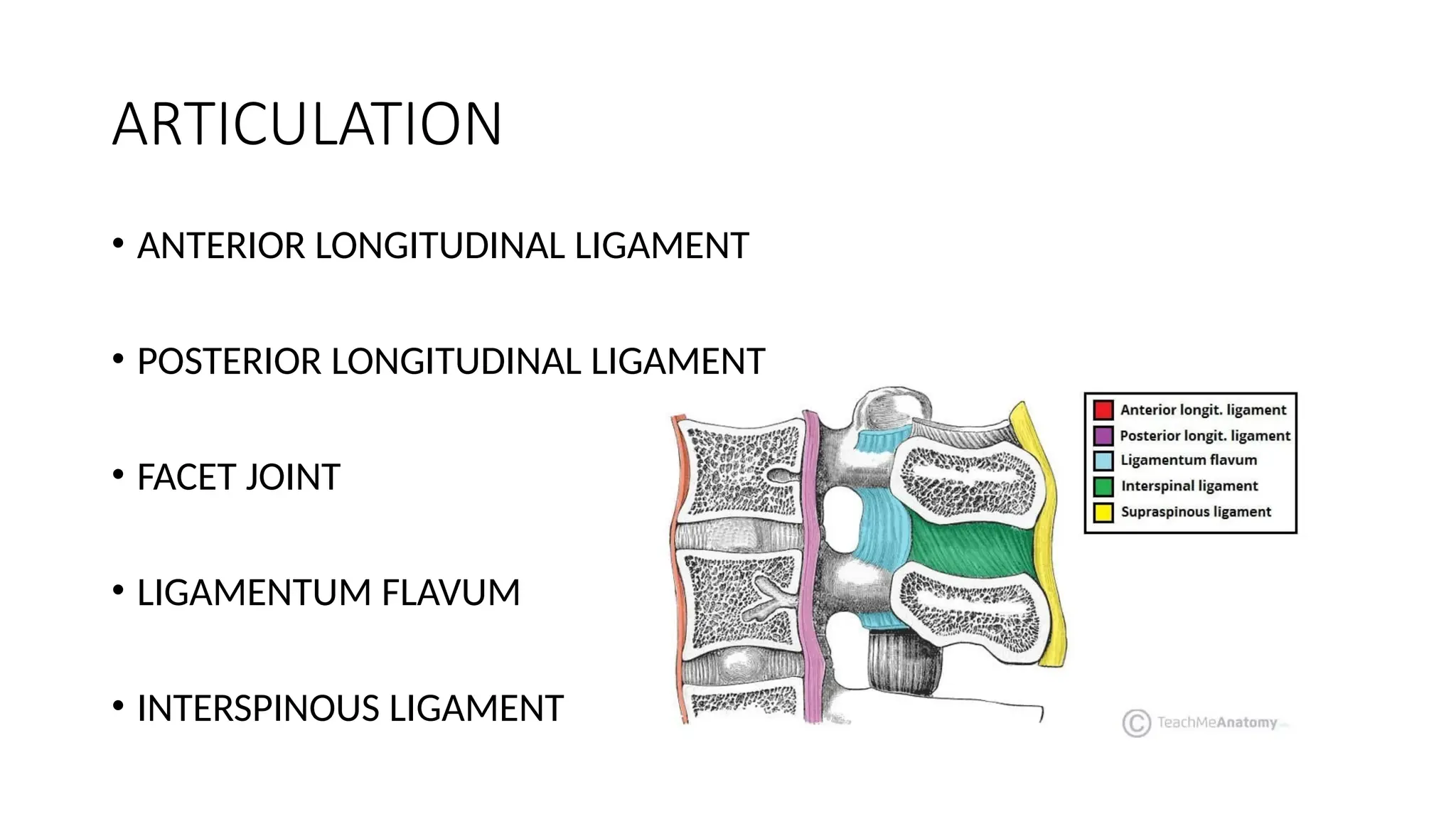 SPINAL INJURIES Anatomy three column concept log rolling investigation ...