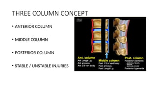 SPINAL INJURIES Anatomy three column concept log rolling investigation ...
