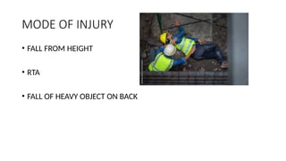 SPINAL INJURIES Anatomy three column concept log rolling investigation ...