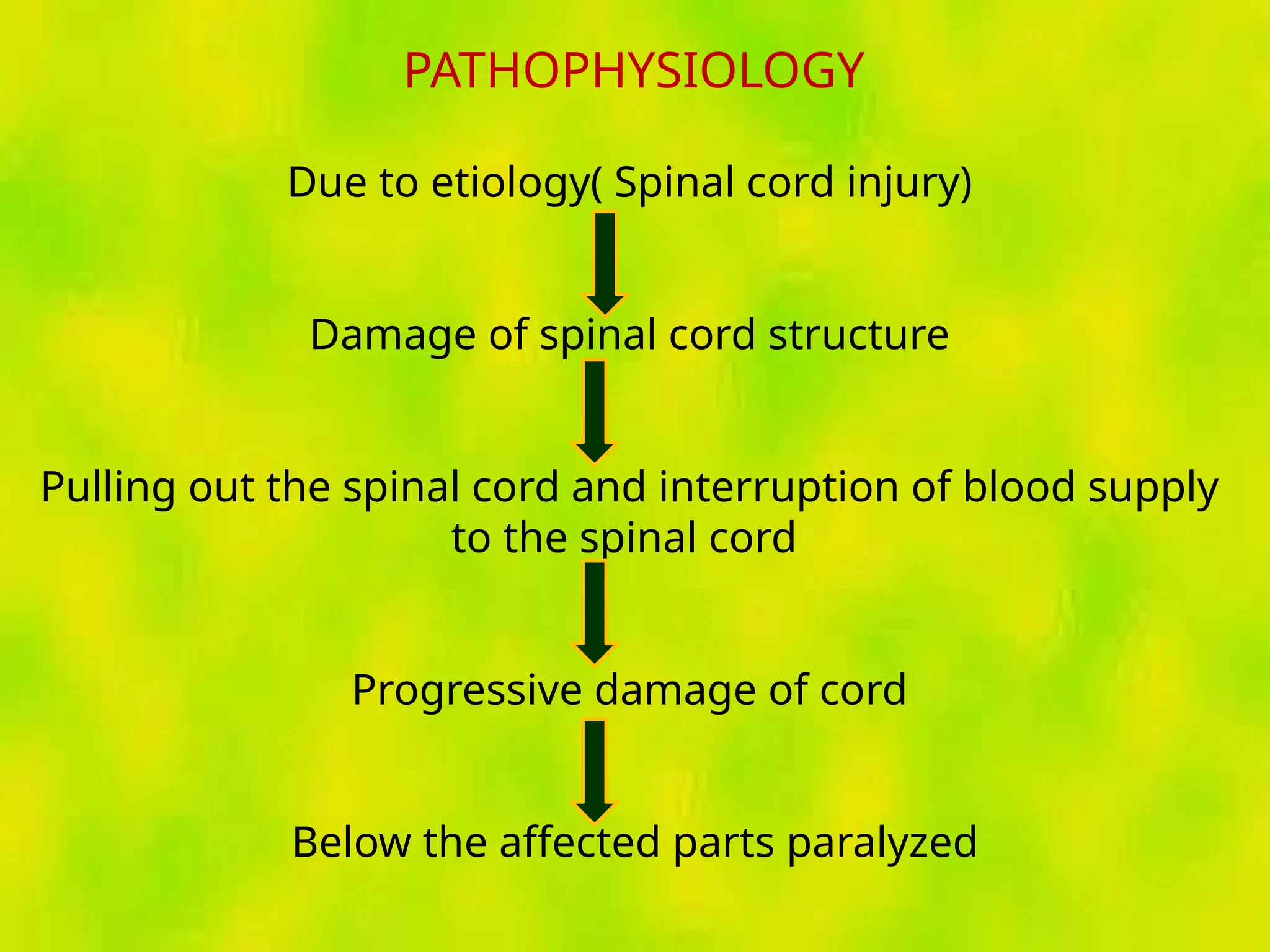 SPINAL INJURIES.pptx yxitsizz8tzzsyxxoxt | PPTX