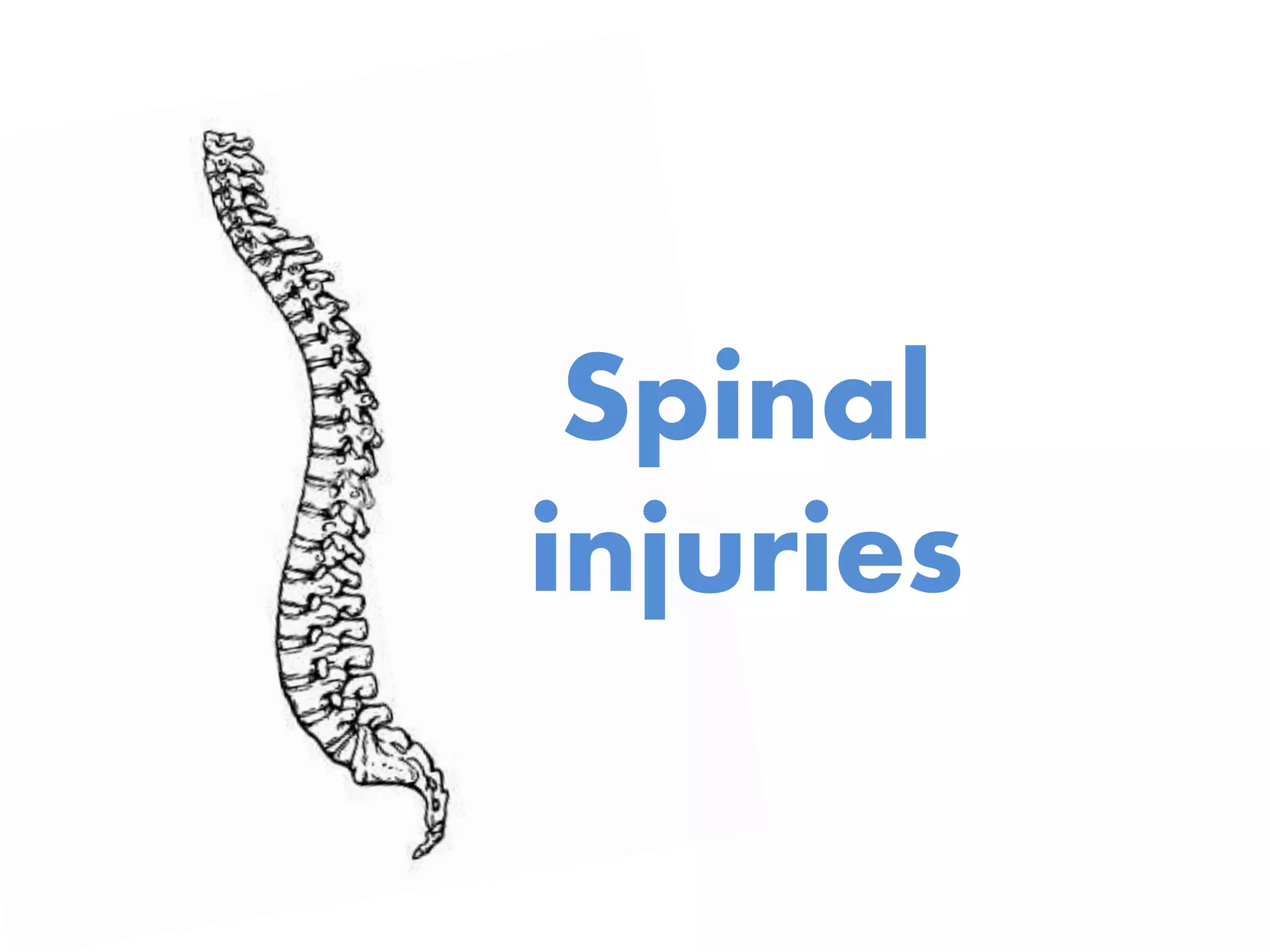 Spinal injuries1 | PPTX