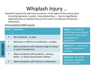 Spinal injuries1 | PPT