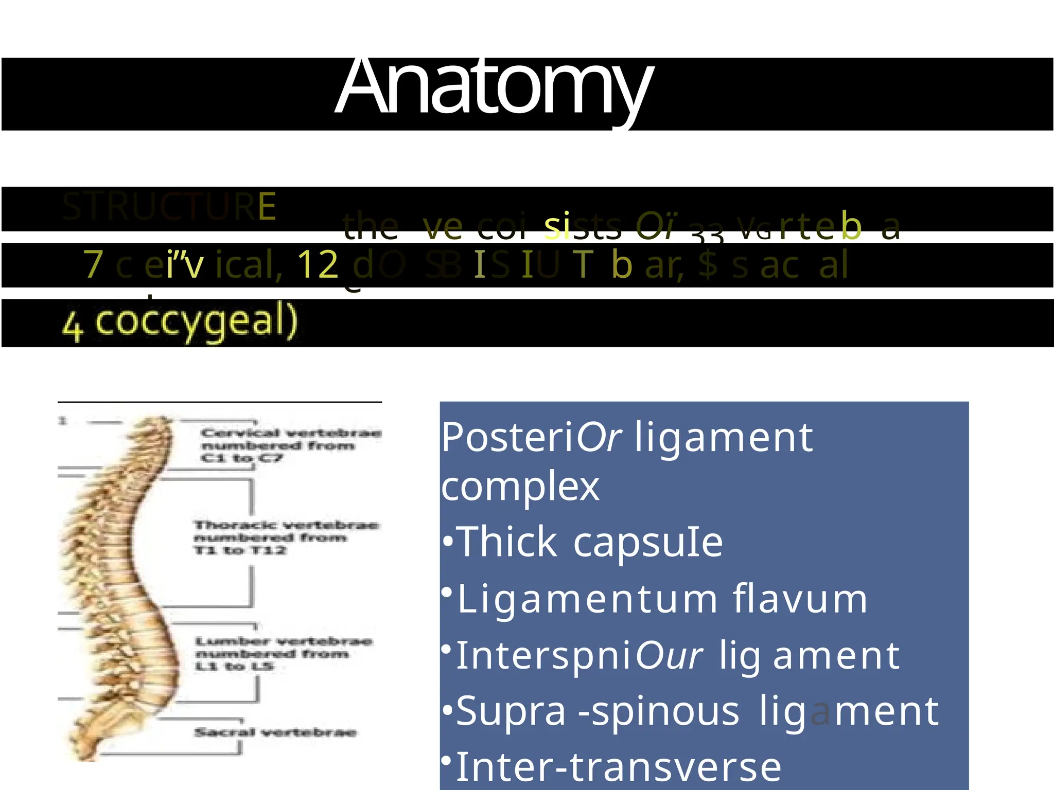Spinal Injuries ppt management of spinal | PPTX