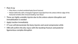 SPINAL INJURies S yr519 24420200987.pptx