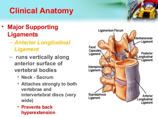 Lumbosacral Ligament Injury