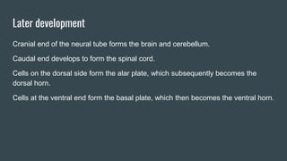 Spinal injury | PPTX