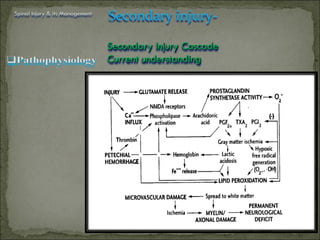 SPiNAL INJURY AND IT'S CURRENT MANAGEMENT : CME - | PDF