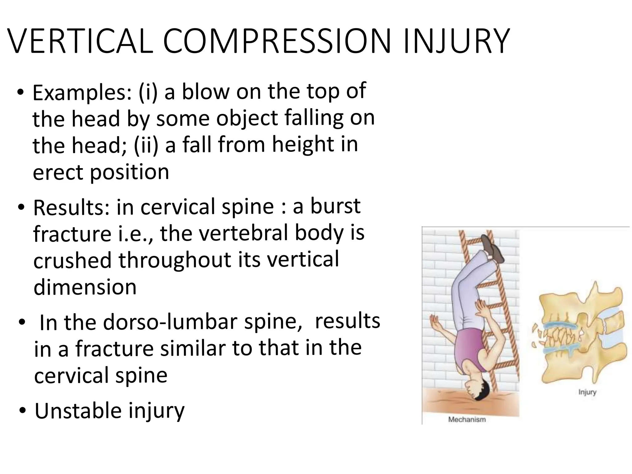 spinal injuries presentation orthopaedics | PPTX