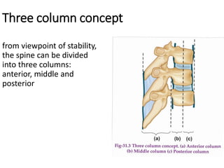 spinal injuries presentation orthopaedics | PPTX