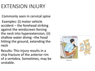 spinal injuries presentation orthopaedics | PPTX