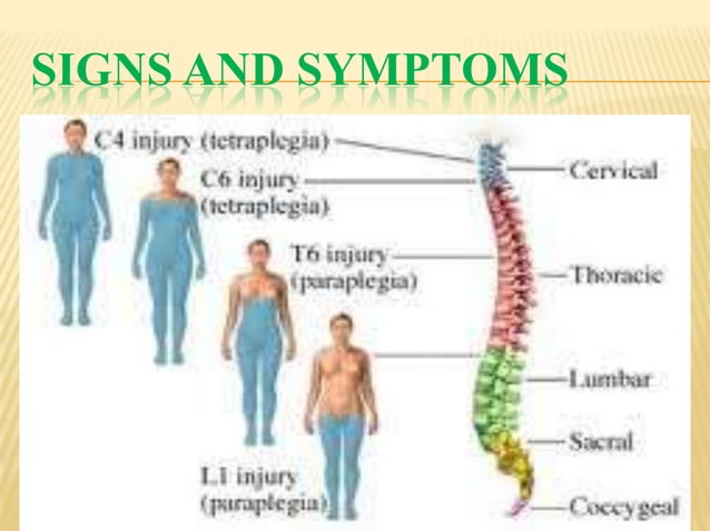 Spinal injury ppt | PPTX