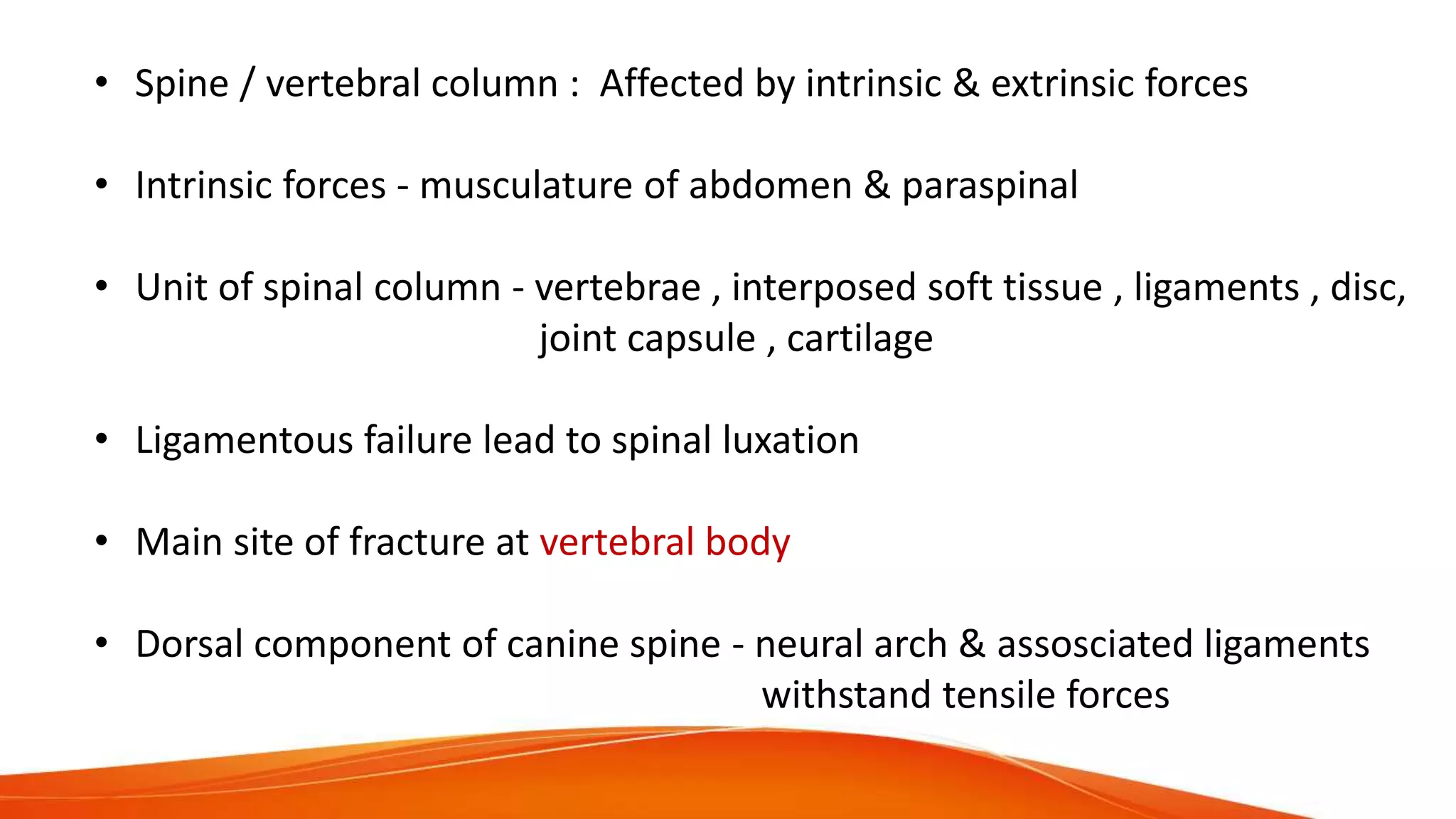 spinal instability...pptx