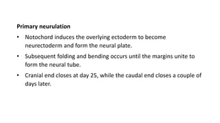 Spinal malformations | PPTX