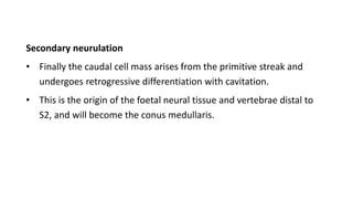 Spinal malformations | PPTX