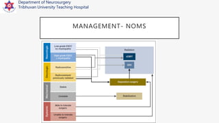 Management of Spinal Metastases | PPTX