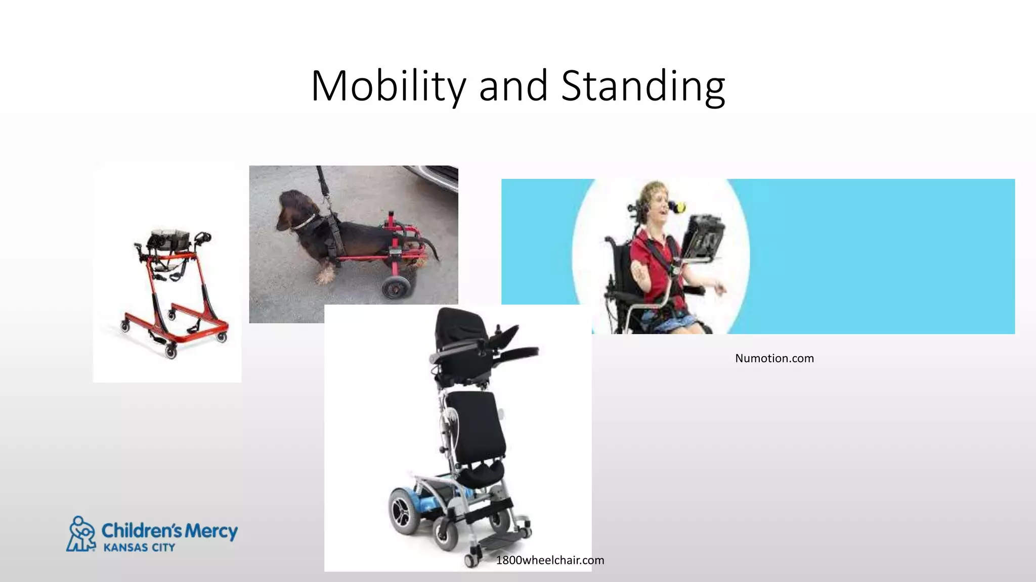 Spinal Muscular Atrophy: Diagnosis and Global Management Considerations ...