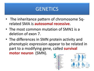 Spinal muscular atrophy (sma) | PPTX
