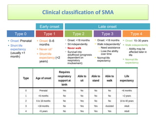 Spinal muscular atrophy (sma) | PPT