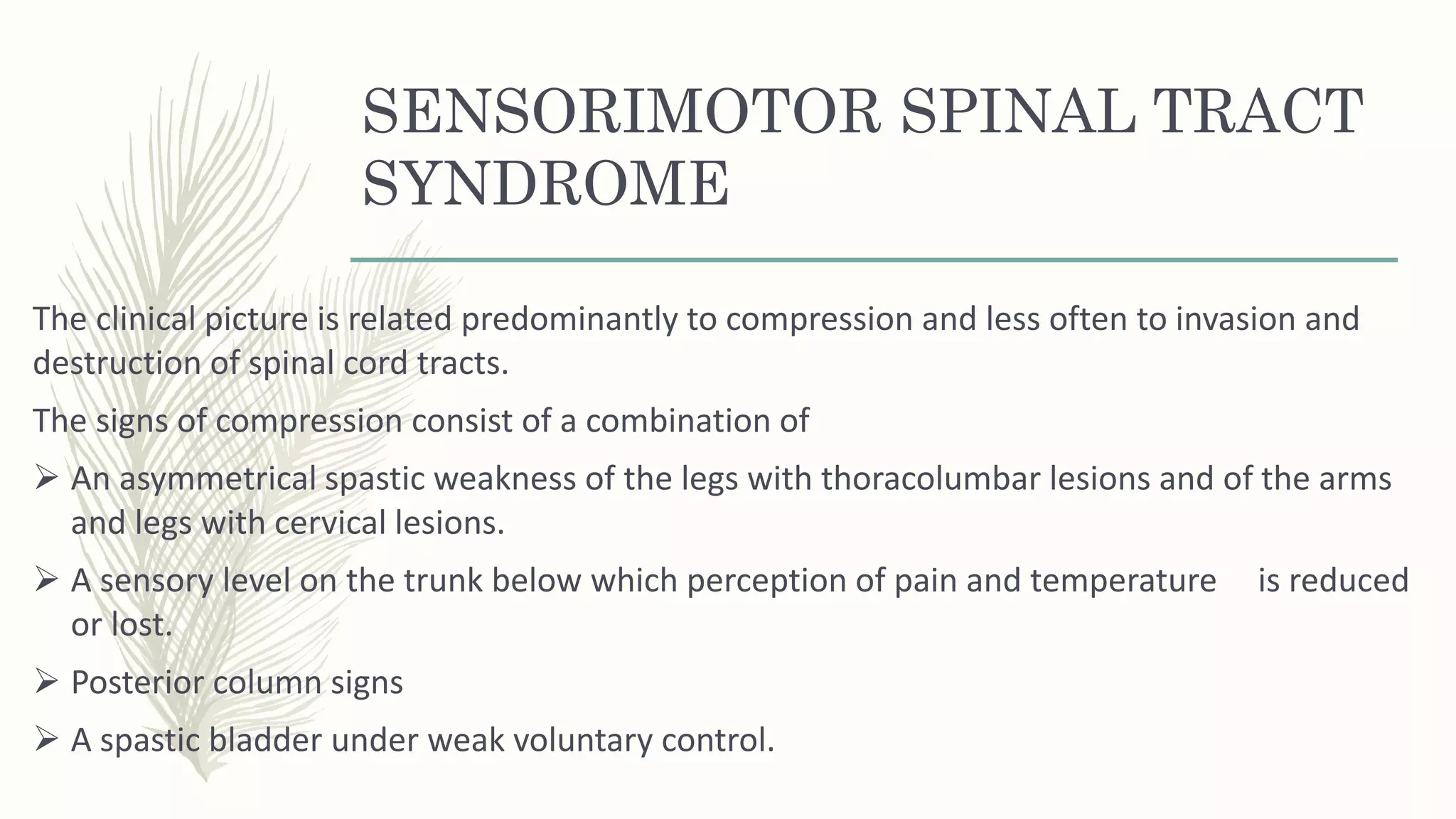 Spinal neoplasm | PPTX