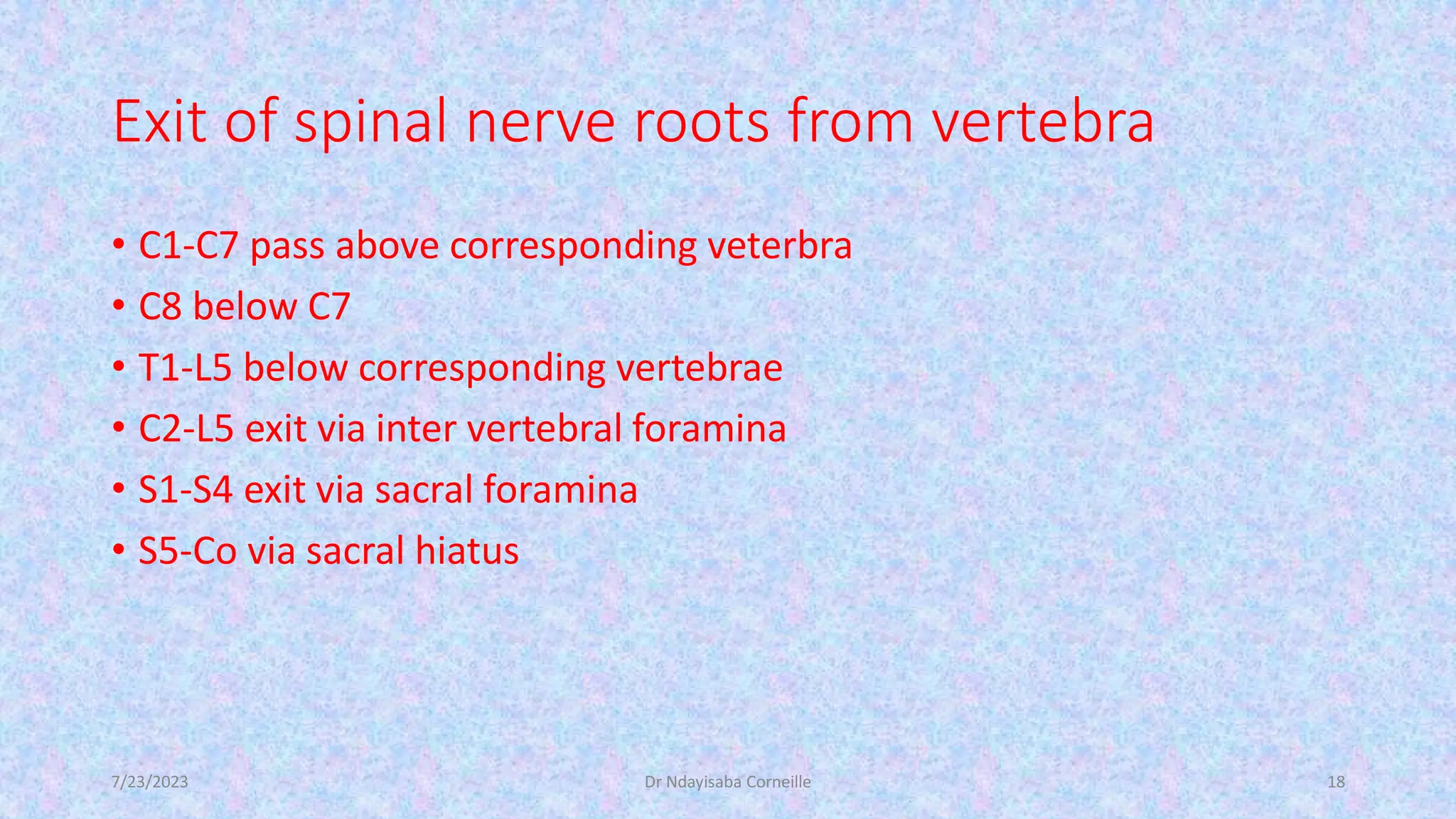 Gross anatomy and physiology Spinal nerve | PDF