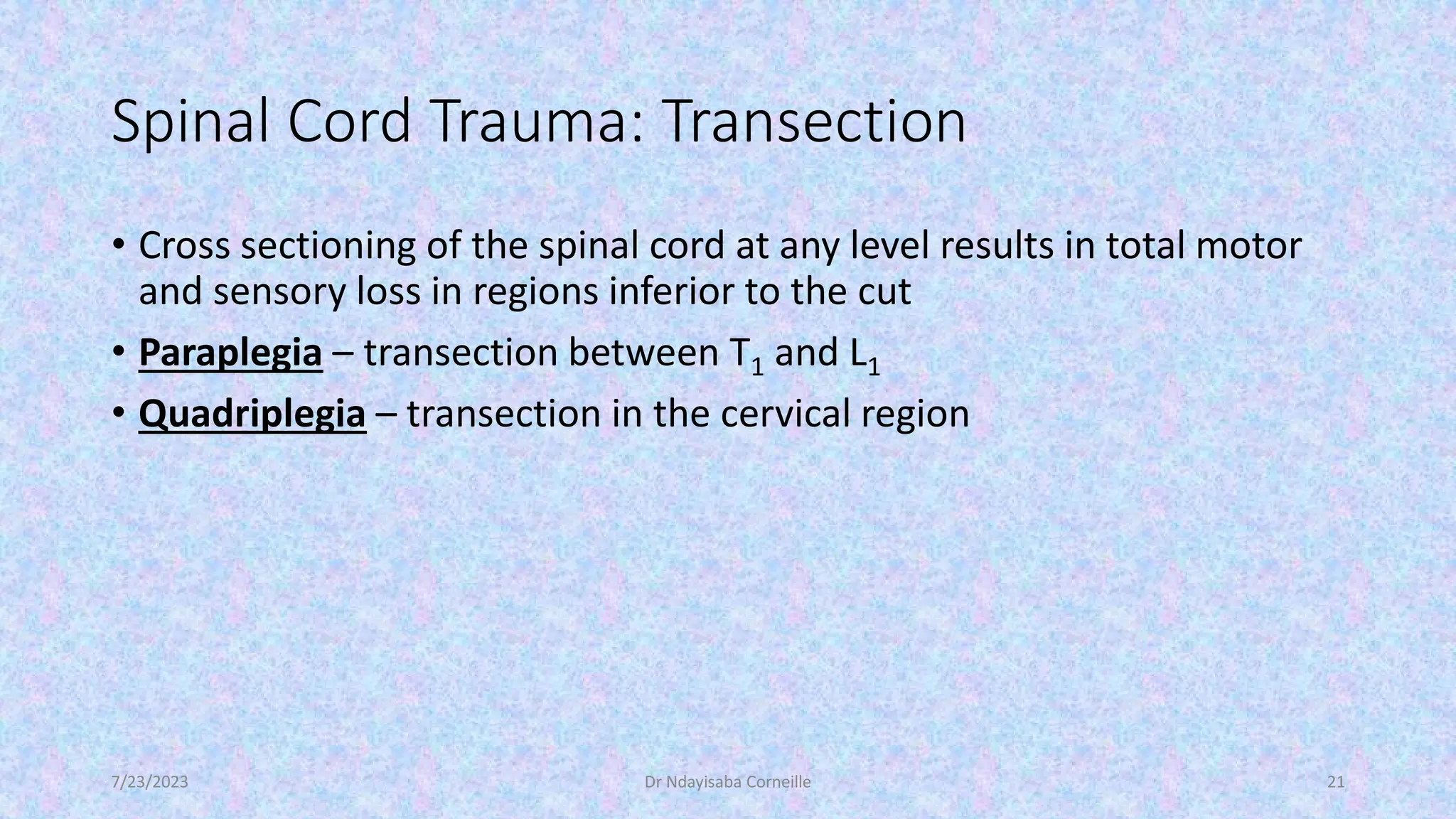Gross anatomy and physiology Spinal nerve | PDF