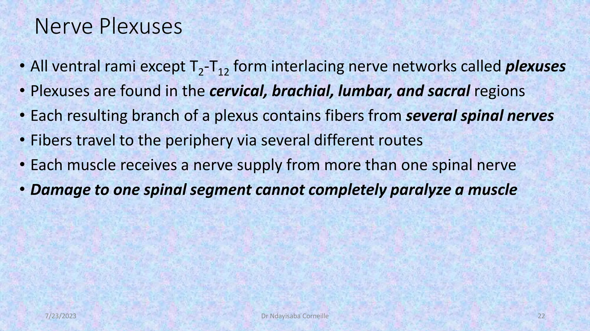 Gross anatomy and physiology Spinal nerve | PDF