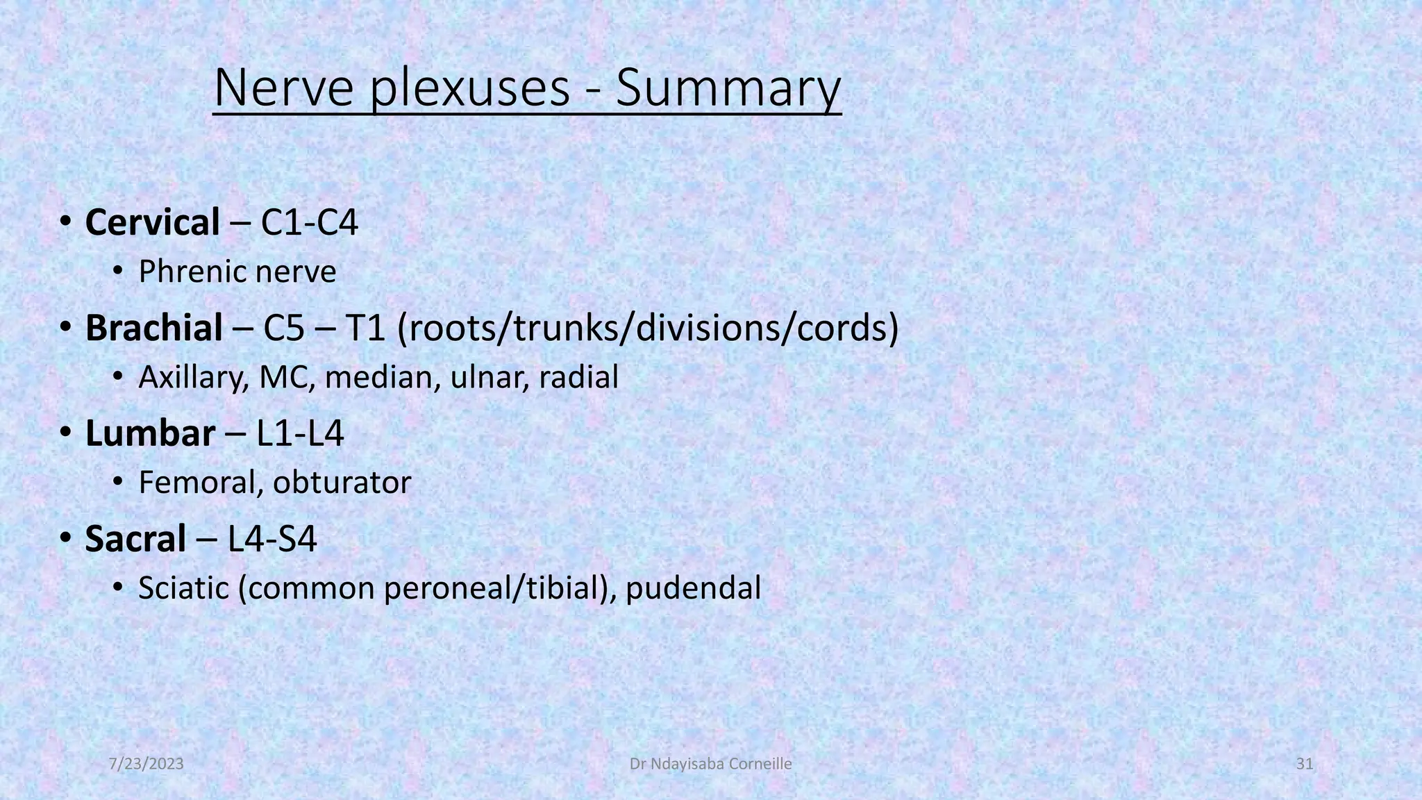 Gross anatomy and physiology Spinal nerve | PDF