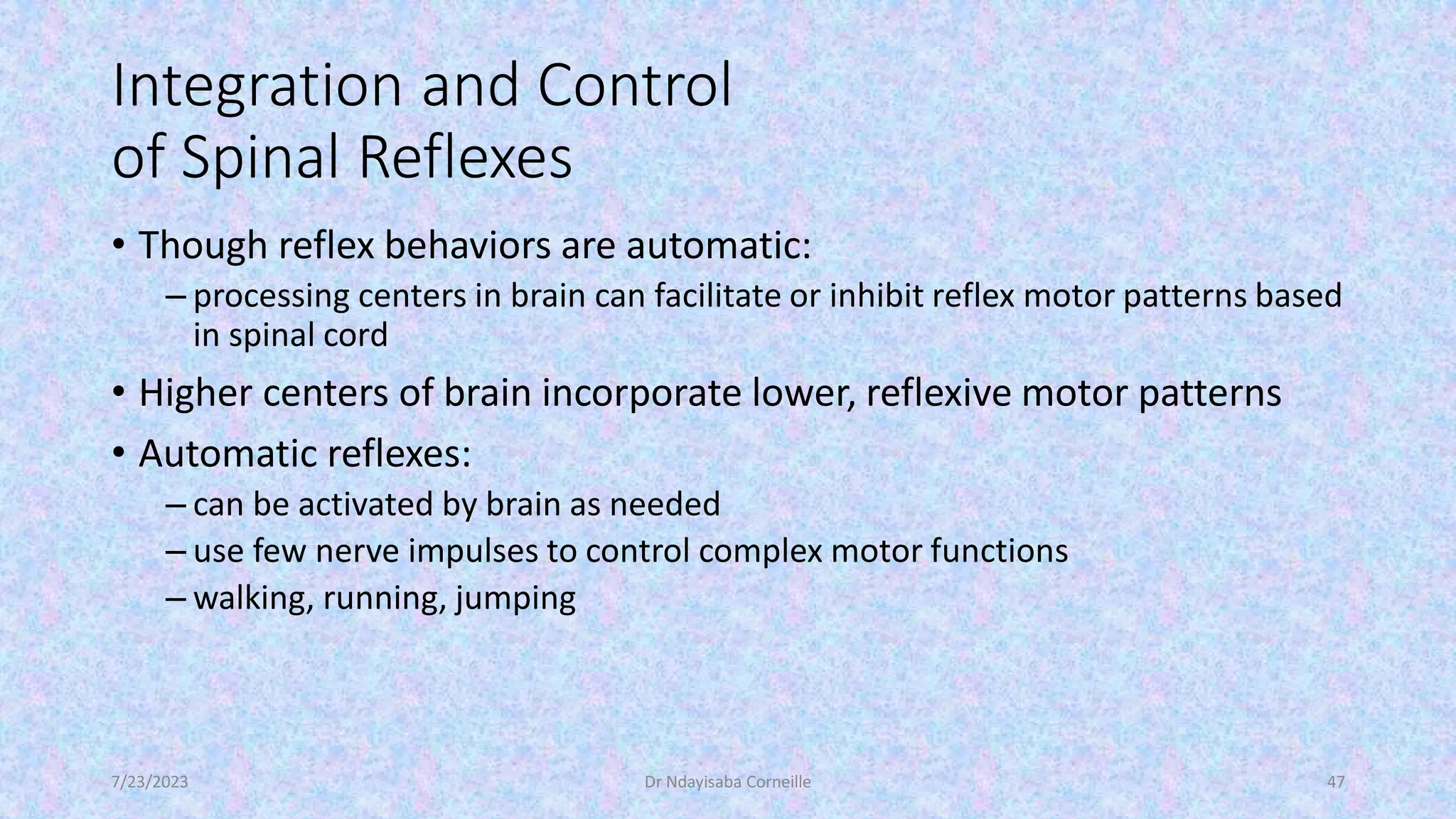 Gross anatomy and physiology Spinal nerve | PDF