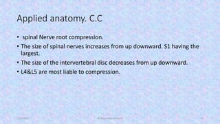 Gross anatomy and physiology Spinal nerve | PDF